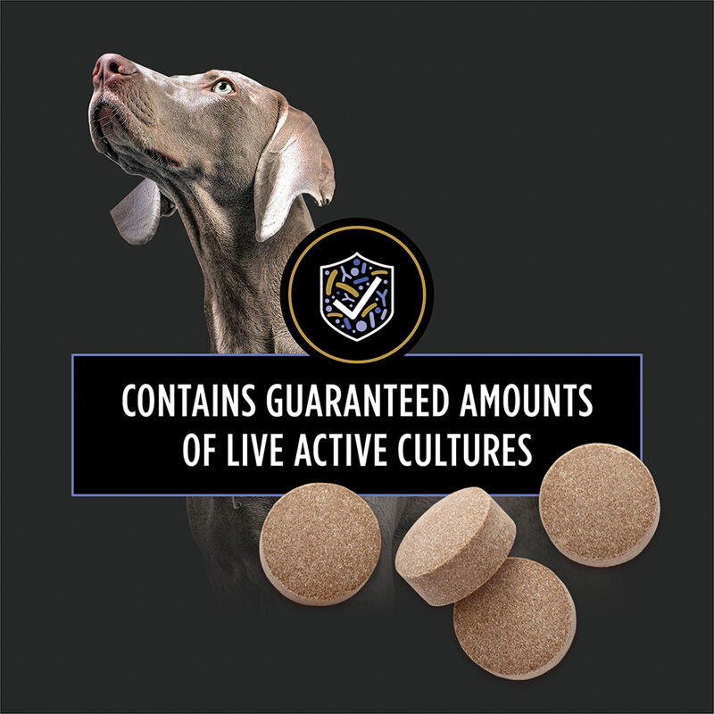 Pro Plan, Fortflora Chewable Tablets - Ren's Pets